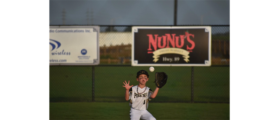 Vidor Youth Baseball League > Home